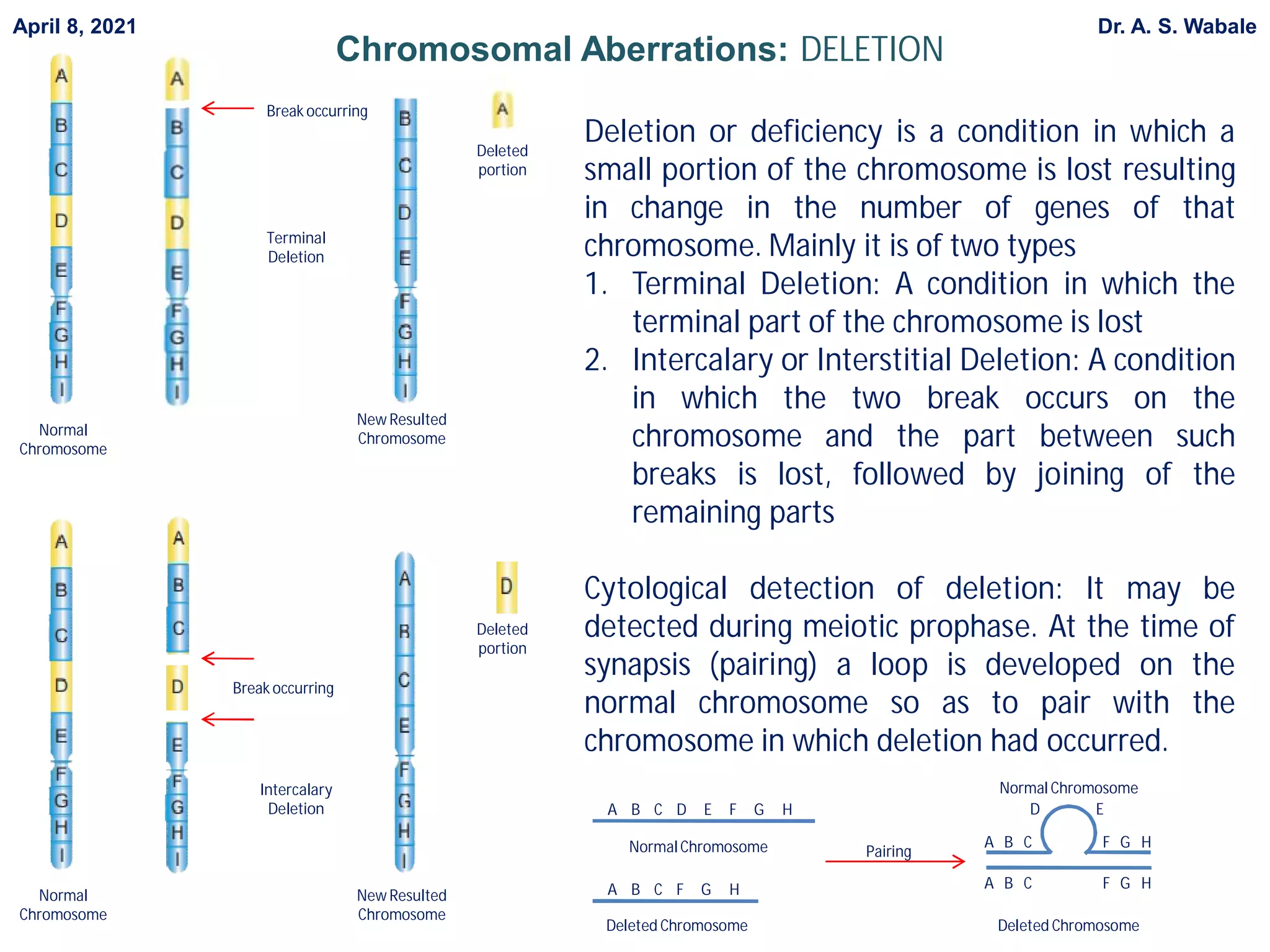 Chromosomal aberrations | PDF