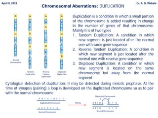 Chromosomal aberrations | PDF