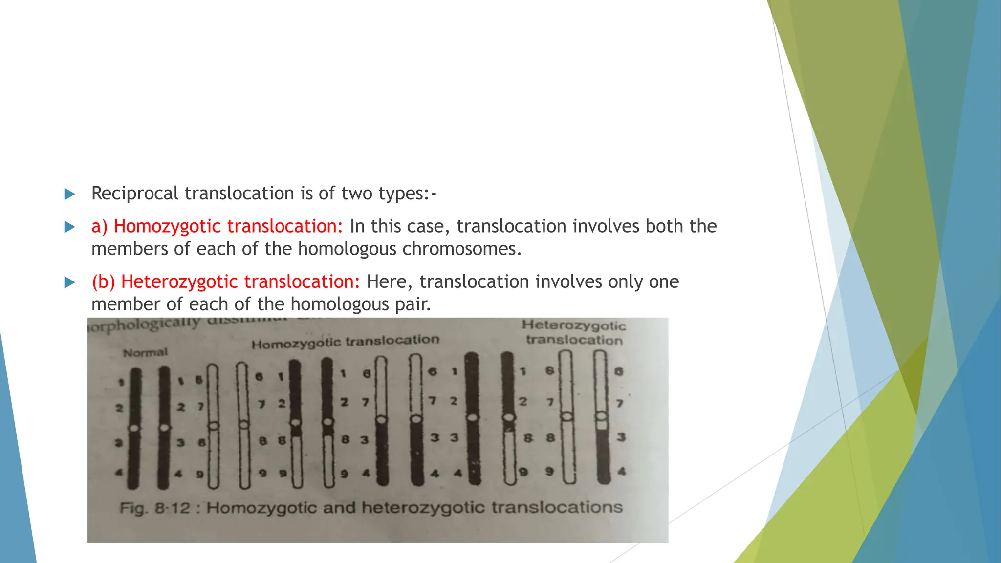 CHROMOSOMAL ABERRATIONS.pptx microbiology | PPTX