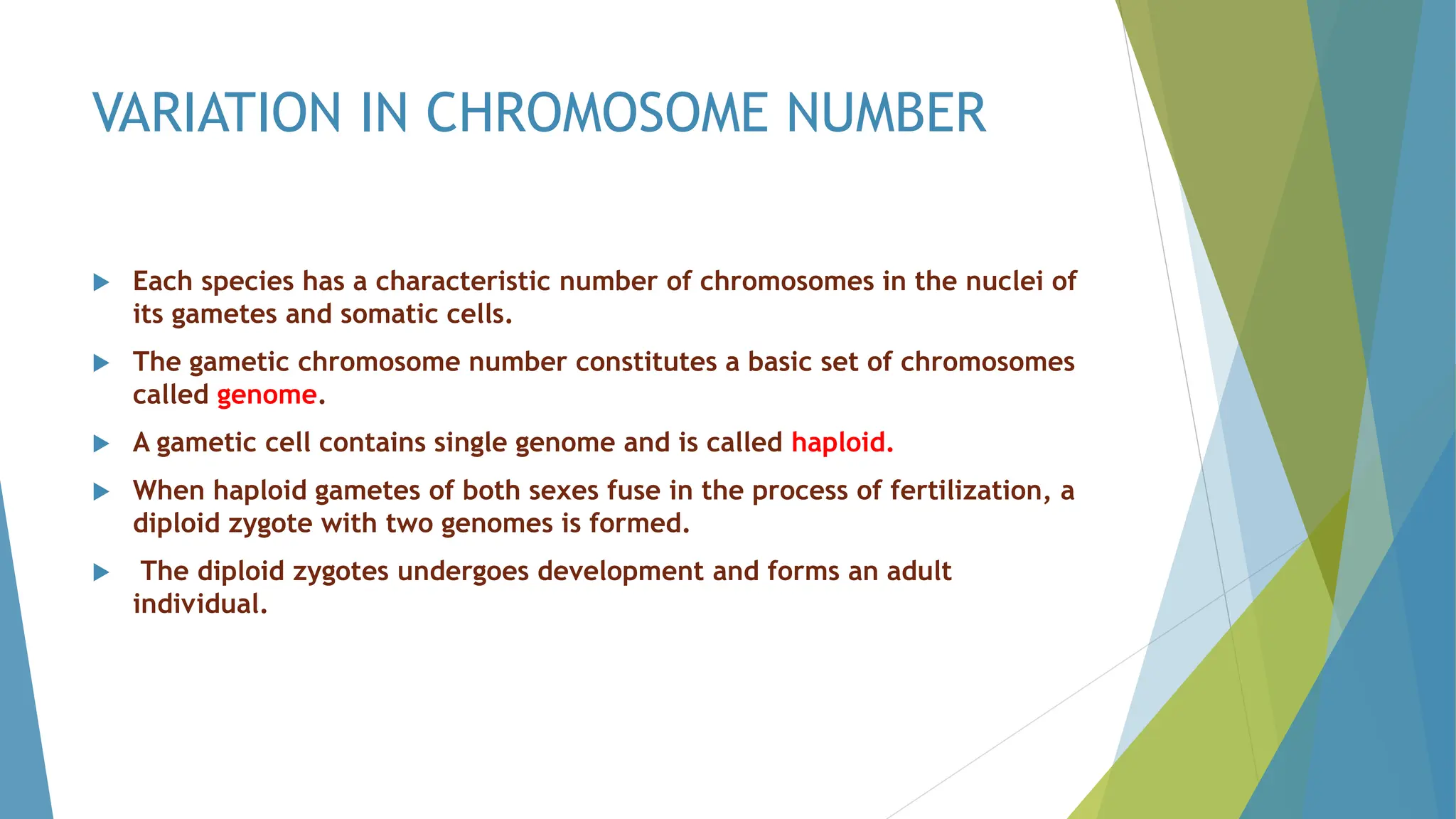 CHROMOSOMAL ABERRATIONS.pptx microbiology | PPTX