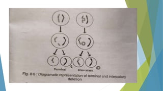 CHROMOSOMAL ABERRATIONS.pptx microbiology | PPTX
