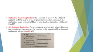 CHROMOSOMAL ABERRATIONS.pptx microbiology | PPTX