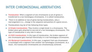 CHROMOSOMAL ABERRATIONS.pptx microbiology | PPTX