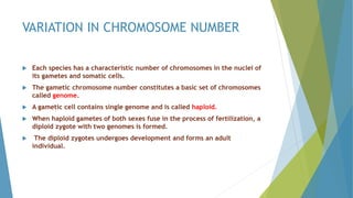CHROMOSOMAL ABERRATIONS.pptx microbiology | PPTX