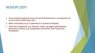 CHROMOSOMAL ABERRATIONS.pptx microbiology | PPTX
