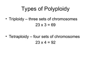 chromosomal aberrations in cell division.ppt