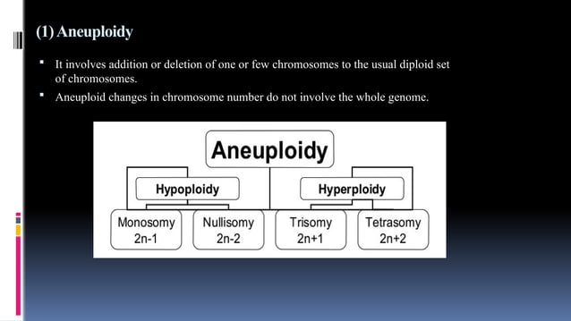 CHROMOSOMAL ABERRATIONS APPLIED ASPECTS-GENETICS | PPT