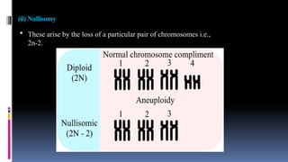 CHROMOSOMAL ABERRATIONS APPLIED ASPECTS-GENETICS | PPT