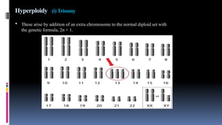 CHROMOSOMAL ABERRATIONS APPLIED ASPECTS-GENETICS | PPT
