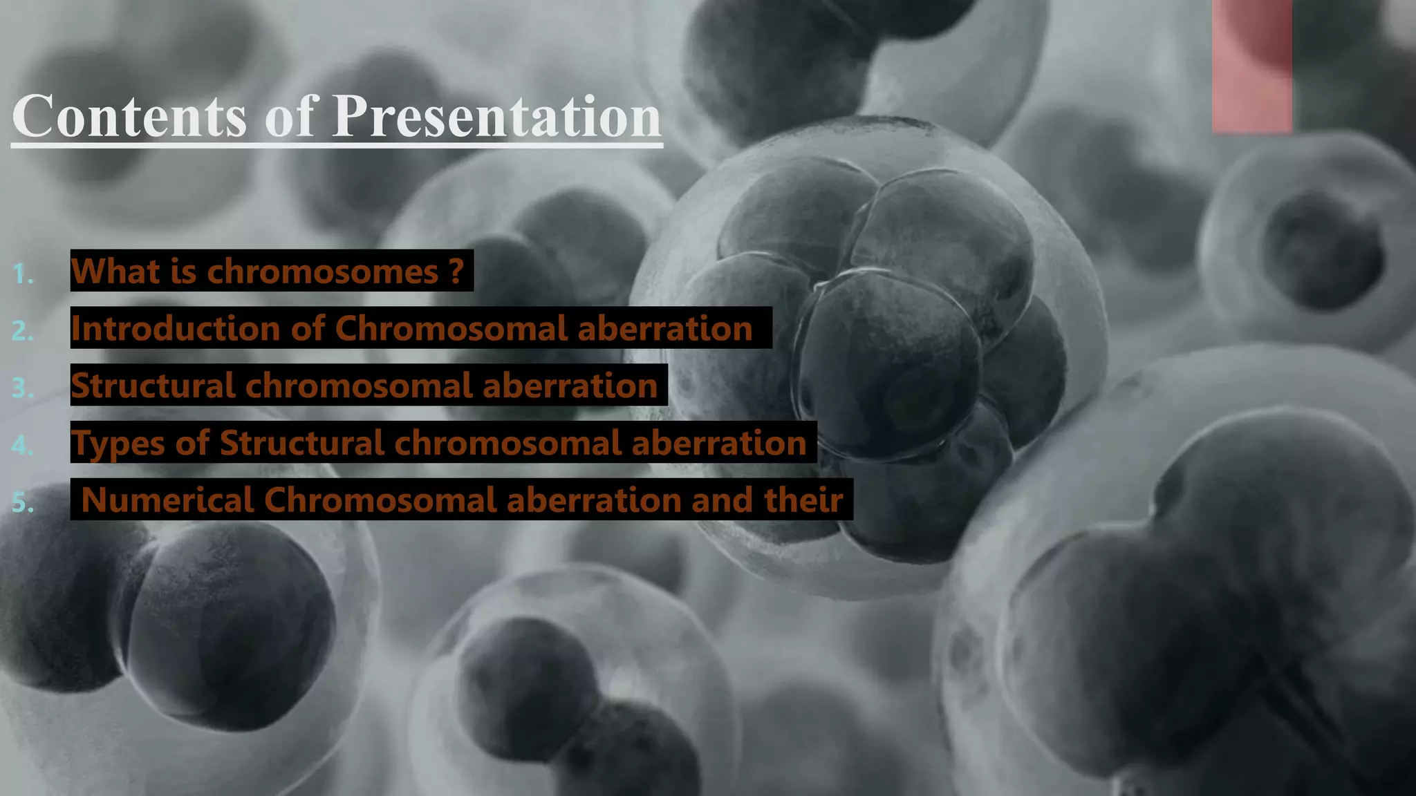 Chromosomal aberrations by Vaishnavi Saxena M.Sc. I year.pptx