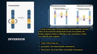 Chromosomal aberrations by Vaishnavi Saxena M.Sc. I year.pptx