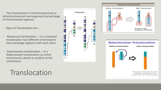 Chromosomal aberrations by Vaishnavi Saxena M.Sc. I year.pptx
