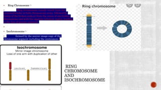 Chromosomal aberrations by Vaishnavi Saxena M.Sc. I year.pptx