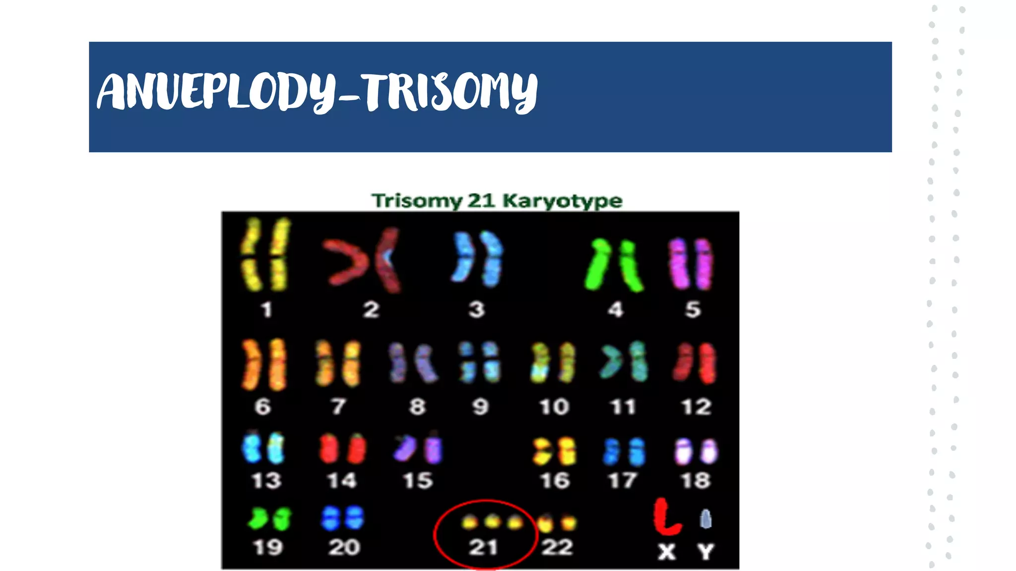 Chromosomal Aberrations Copy Ppt