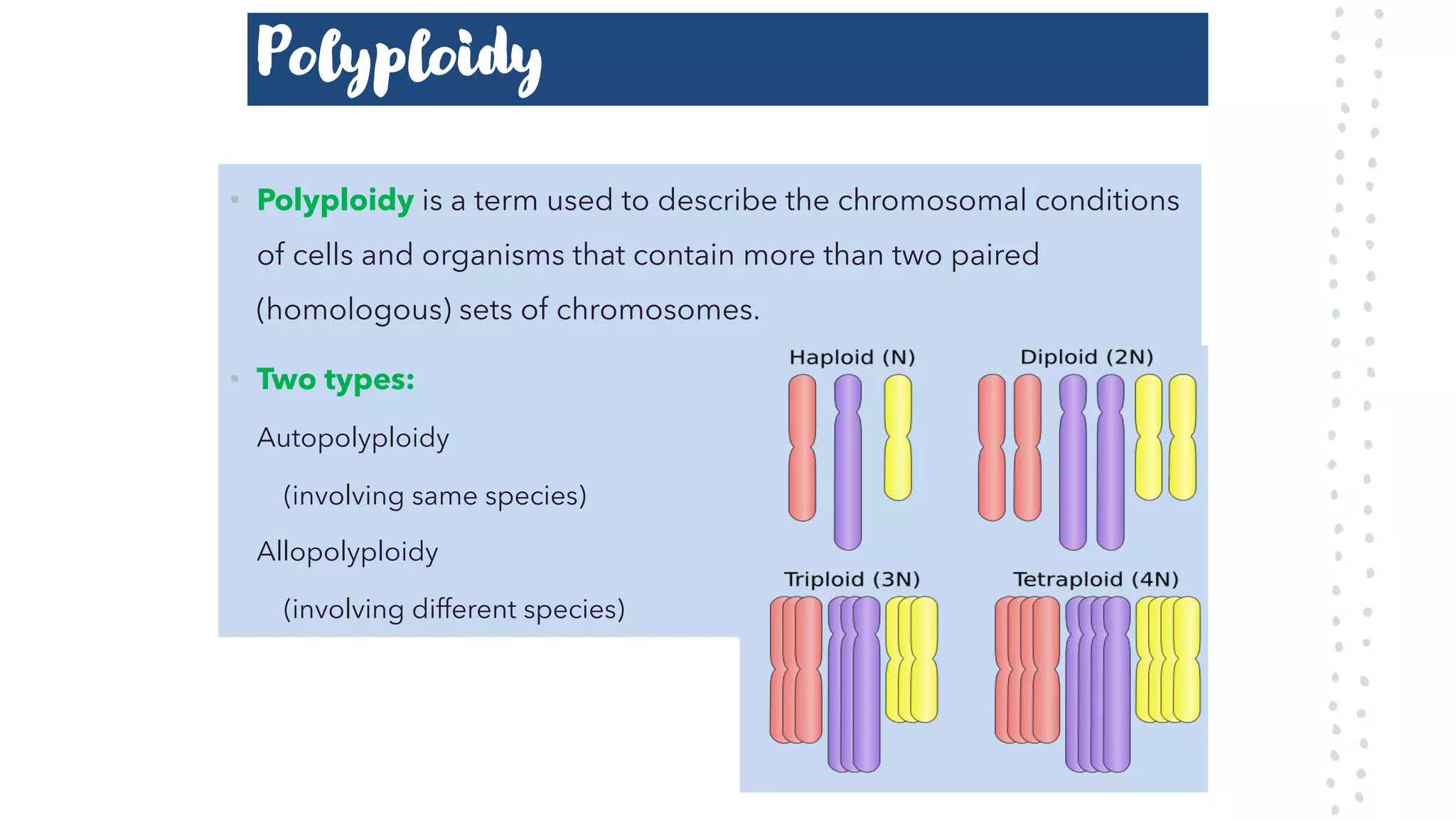 Chromosomal Aberrations Copy Ppt