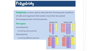 Chromosomal aberrations copy | PPT