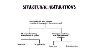Chromosomal aberrations copy | PPT