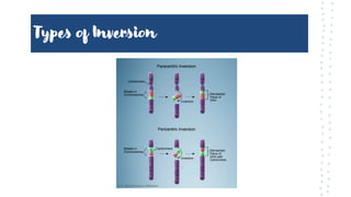 Chromosomal aberrations copy | PPT