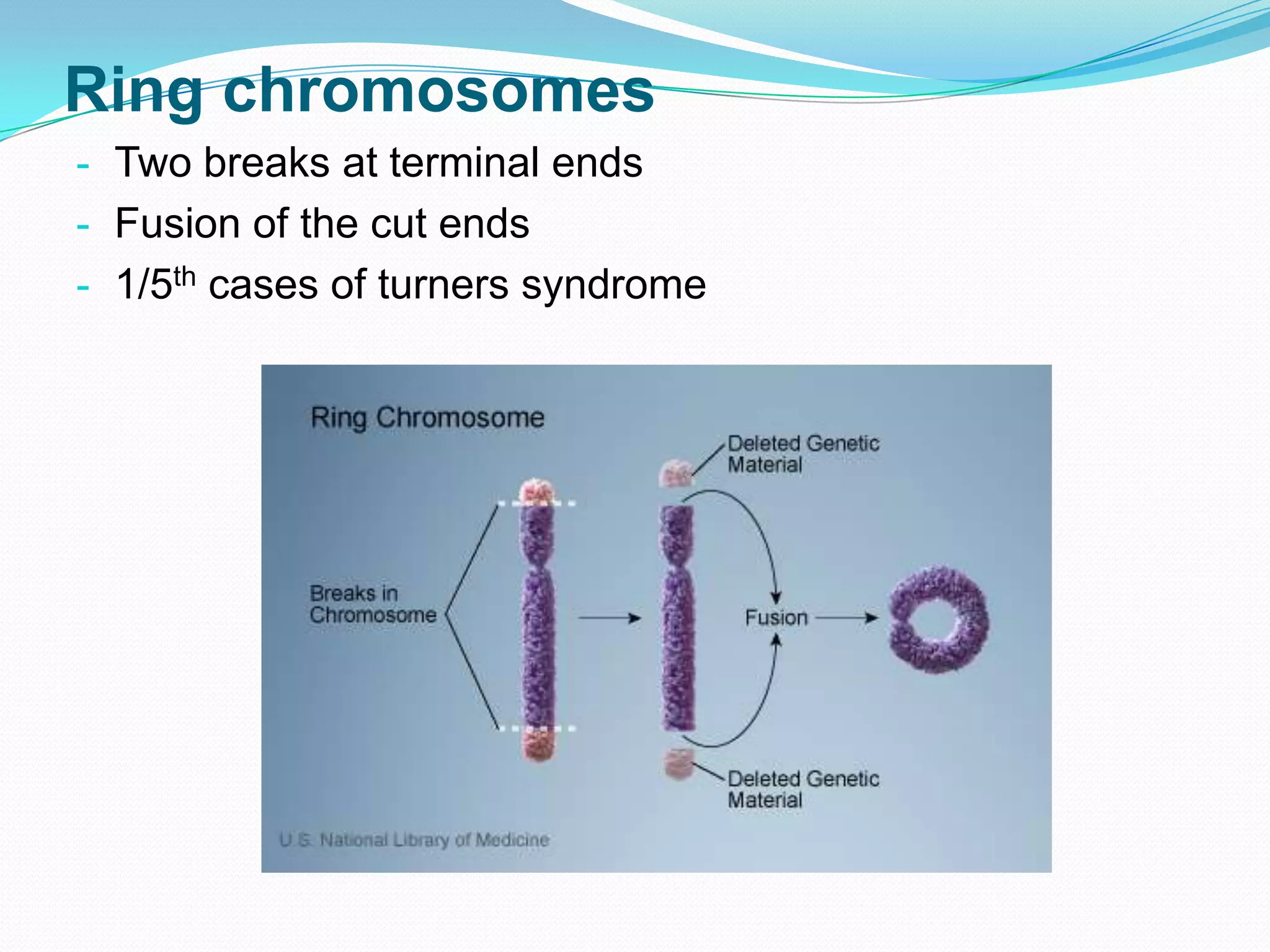 Chromosomal aberrations,downs syndrome-Dr.Gourav | PPTX