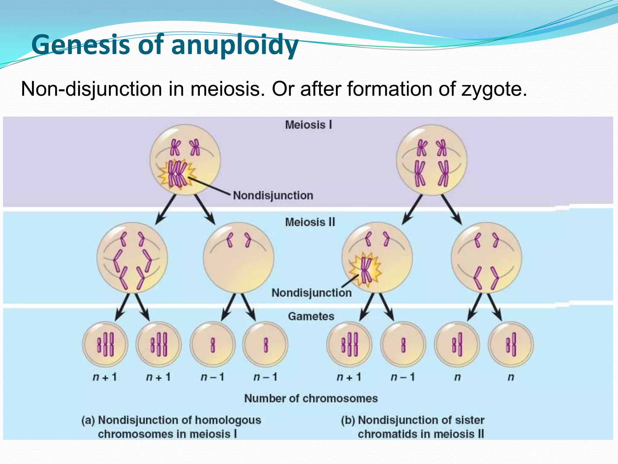 Chromosomal aberrations,downs syndrome-Dr.Gourav | PPTX