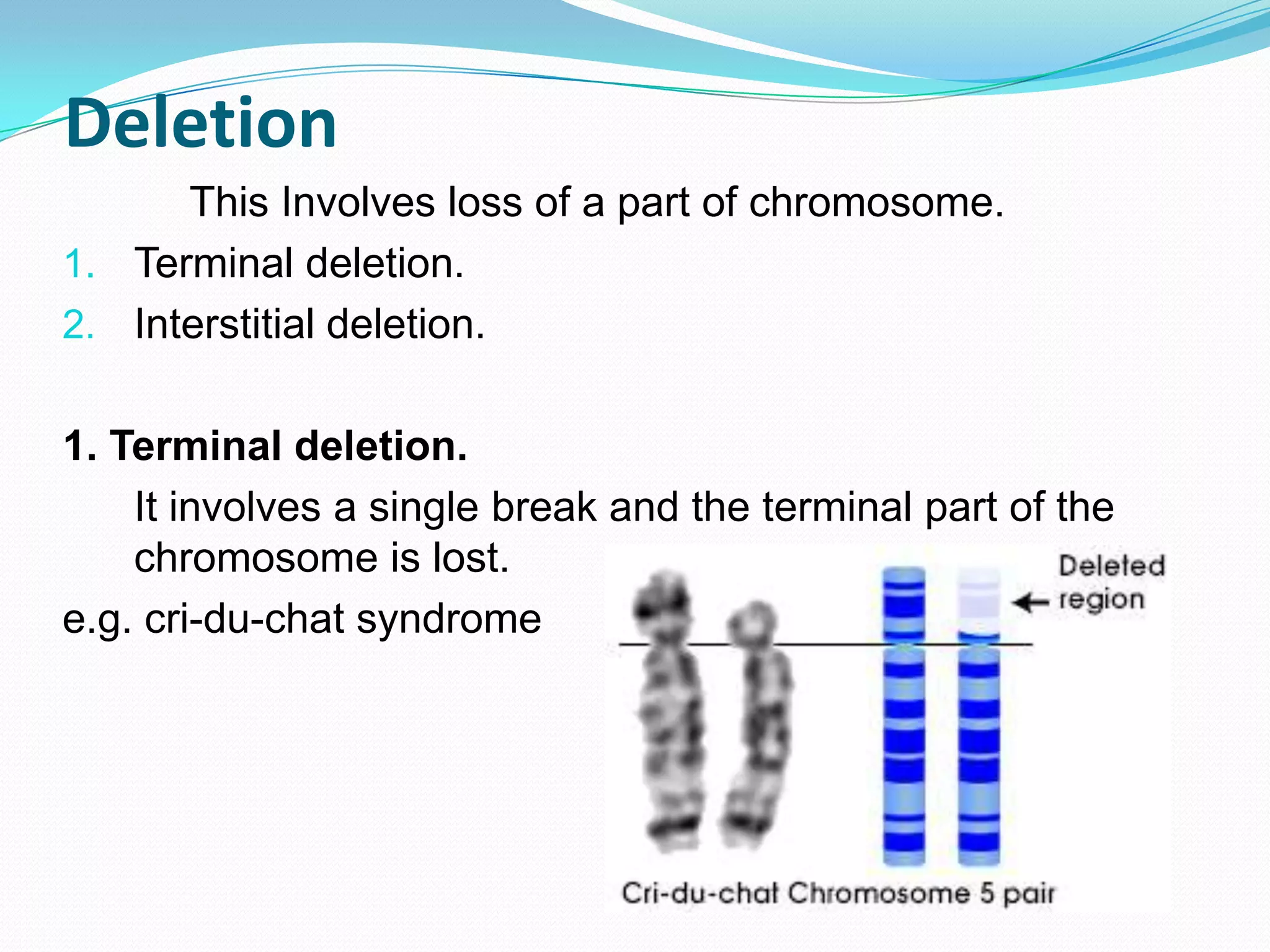 Chromosomal aberrations,downs syndrome-Dr.Gourav | PPTX