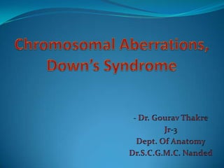 Chromosomal aberrations,downs syndrome-Dr.Gourav | PPTX