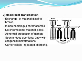Chromosomal aberrations,downs syndrome-Dr.Gourav | PPTX