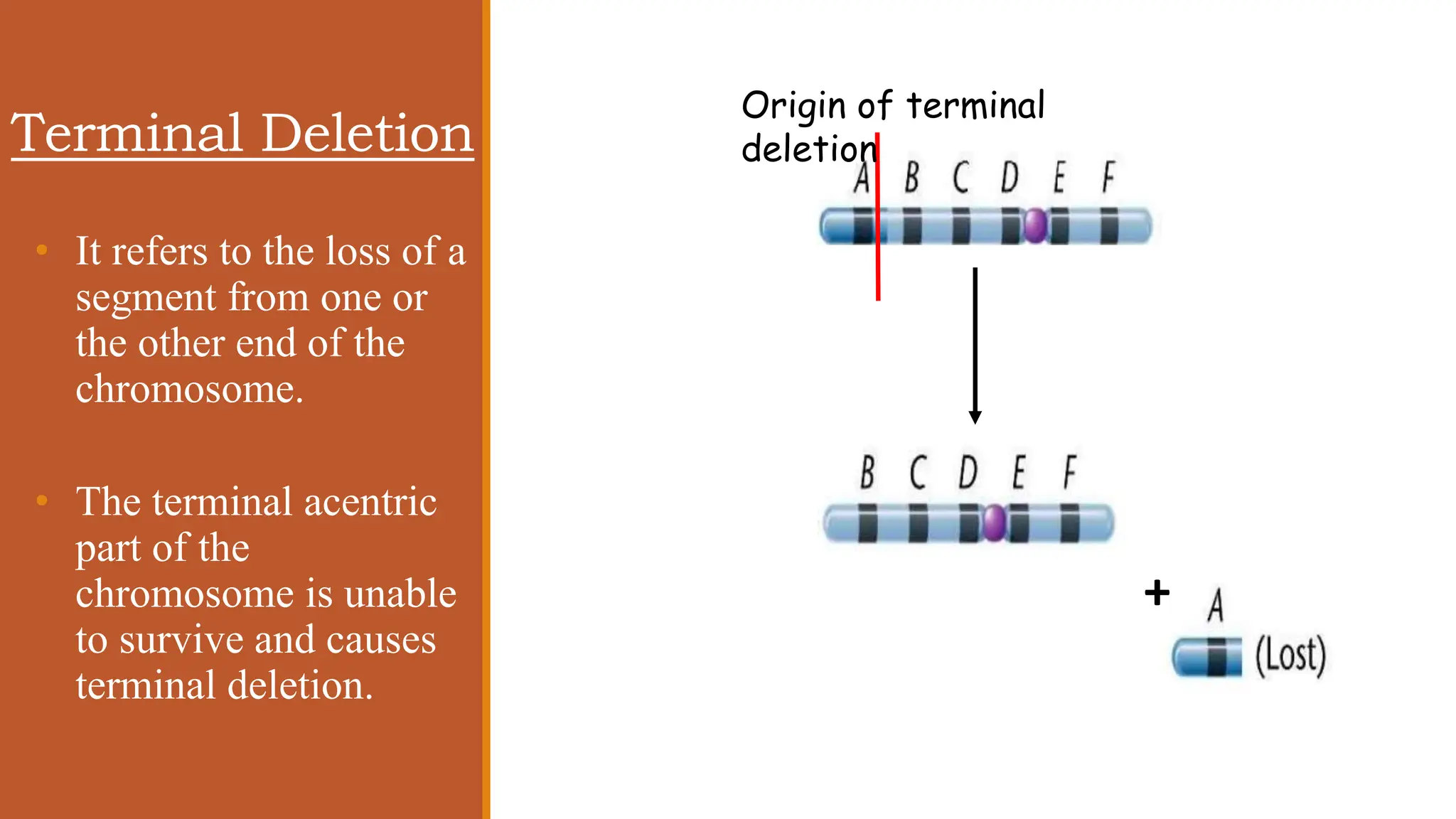 Chromosomal Aberrations Structural Pptx