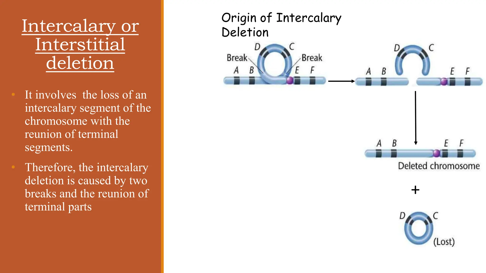 Chromosomal Aberrations (Structural).pptx