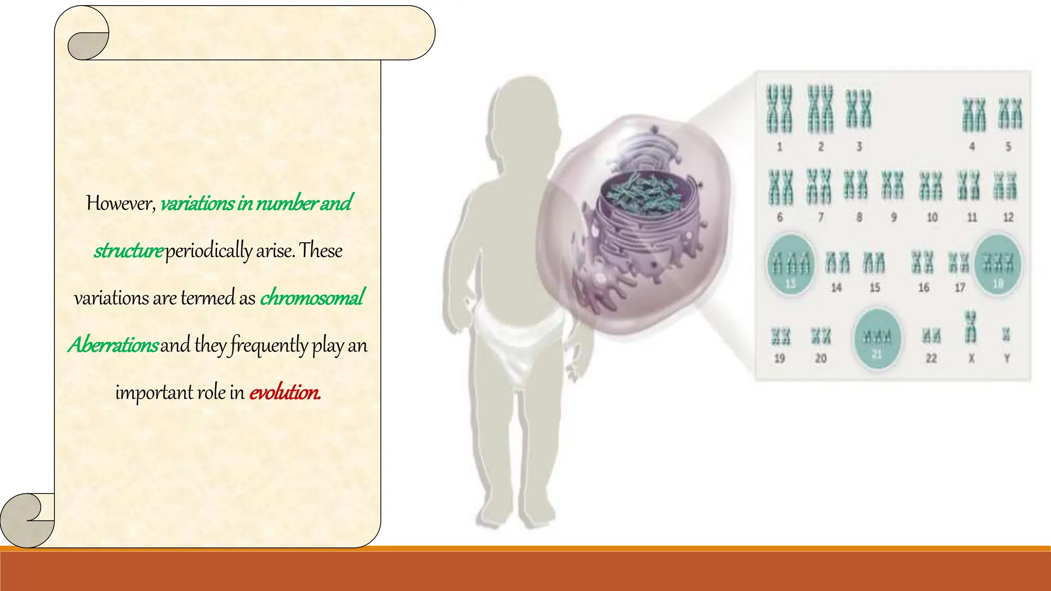 Chromosomal Aberrations (Structural).pptx