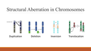 Chromosomal Aberrations (Structural).pptx
