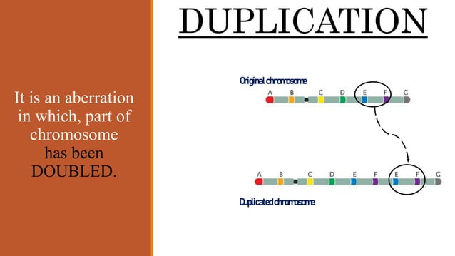 Chromosomal Aberrations (Structural).pptx
