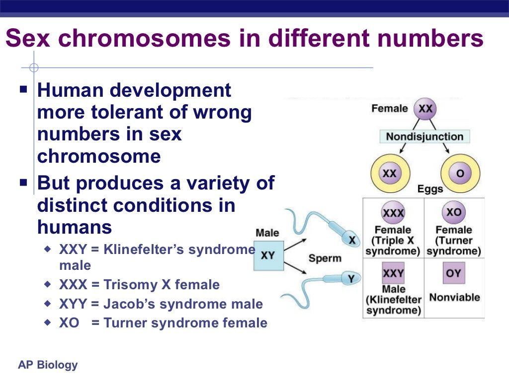 Chromosomal abnormalities