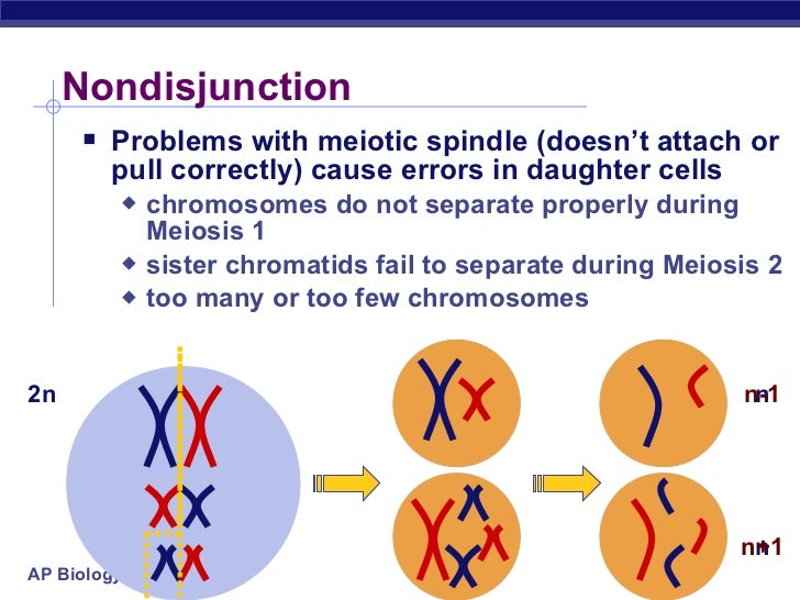 Nondisjunction In Mitosis