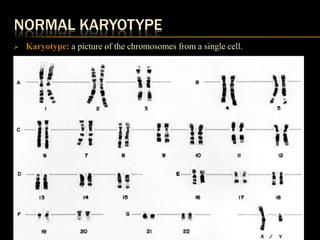 Chromosomal abnormalities | PPTX
