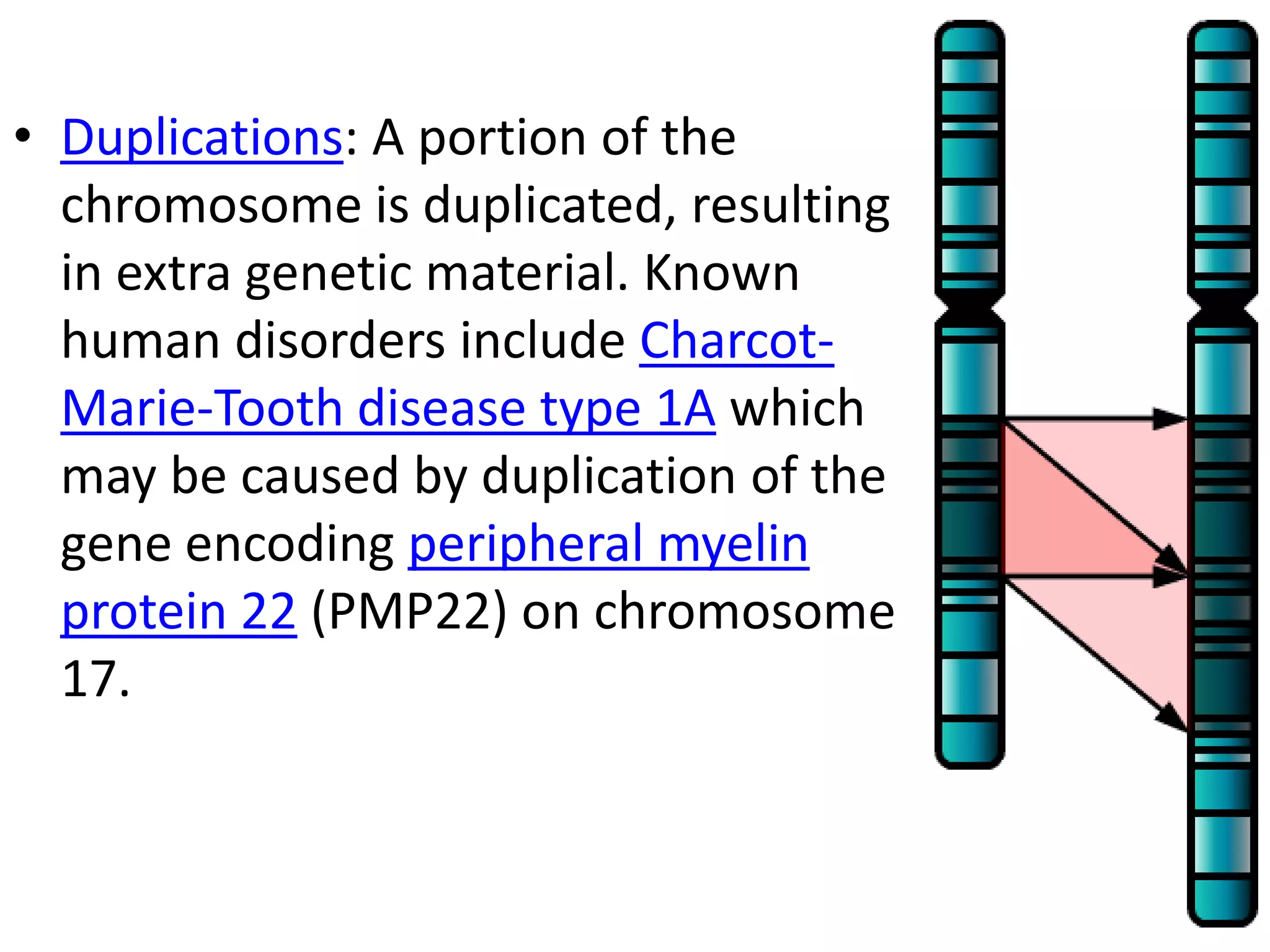 Chromosomal abnormalities | PPTX