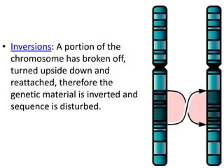 Chromosomal abnormalities | PPTX