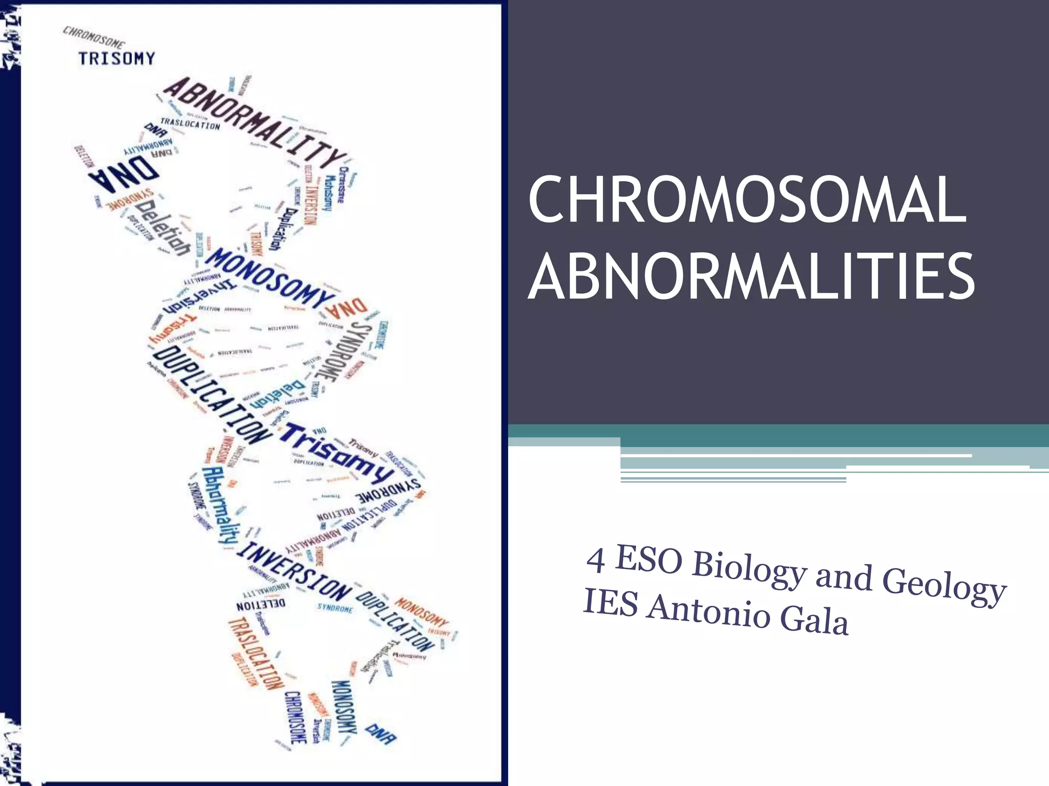 Chromosomal abnormalities | PPTX