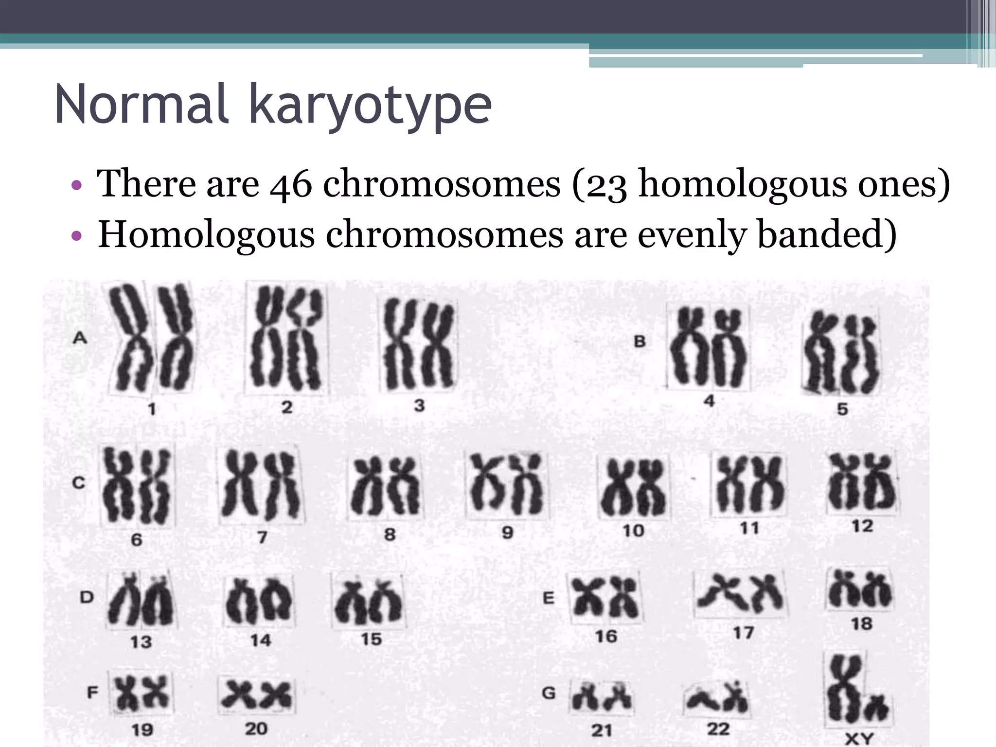 Chromosomal abnormalities | PPTX