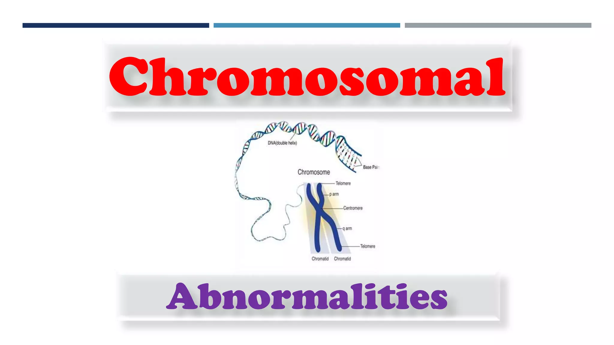 Chromosomal Abnormalities | PDF