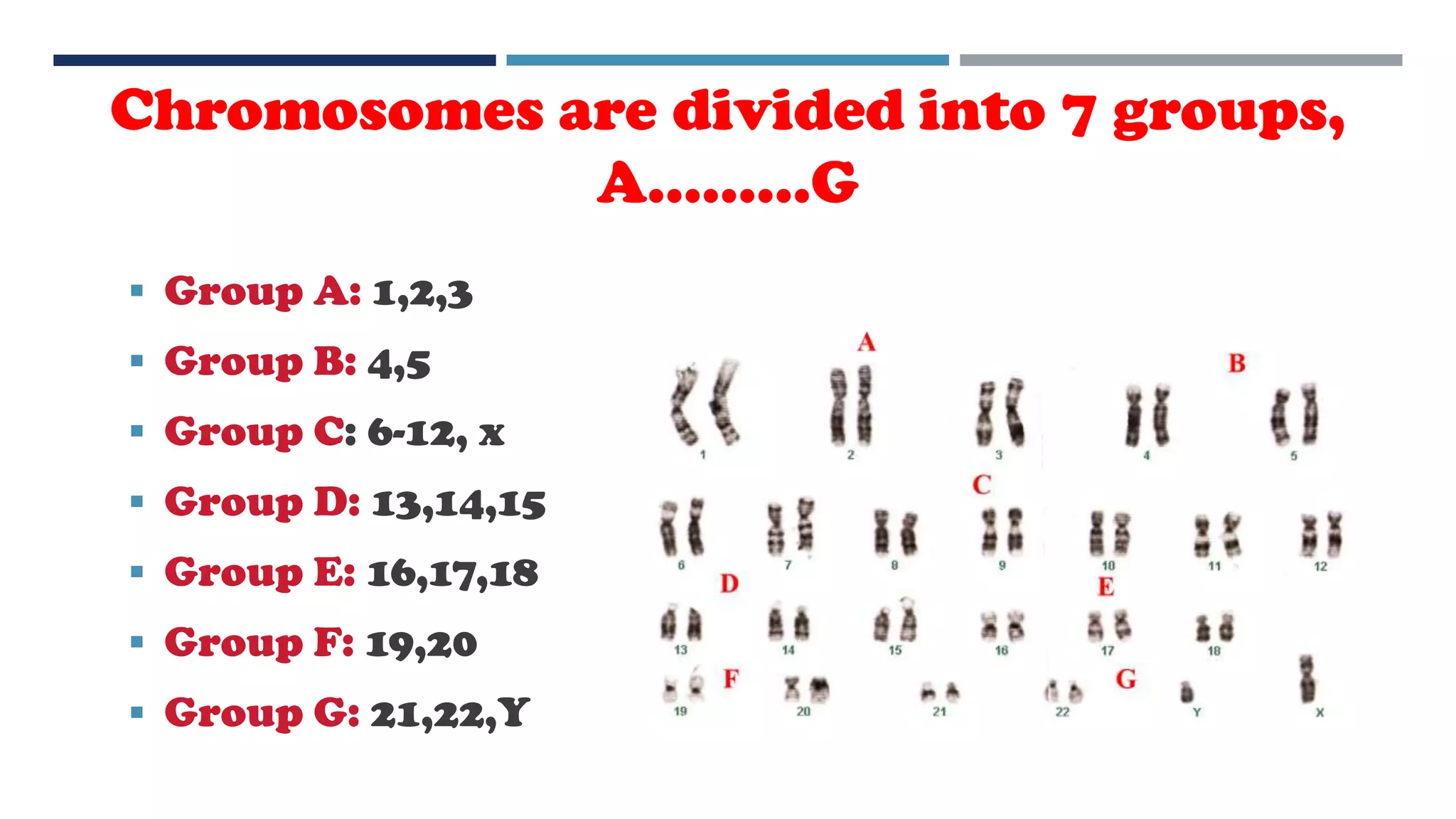 Chromosomal Abnormalities | PDF