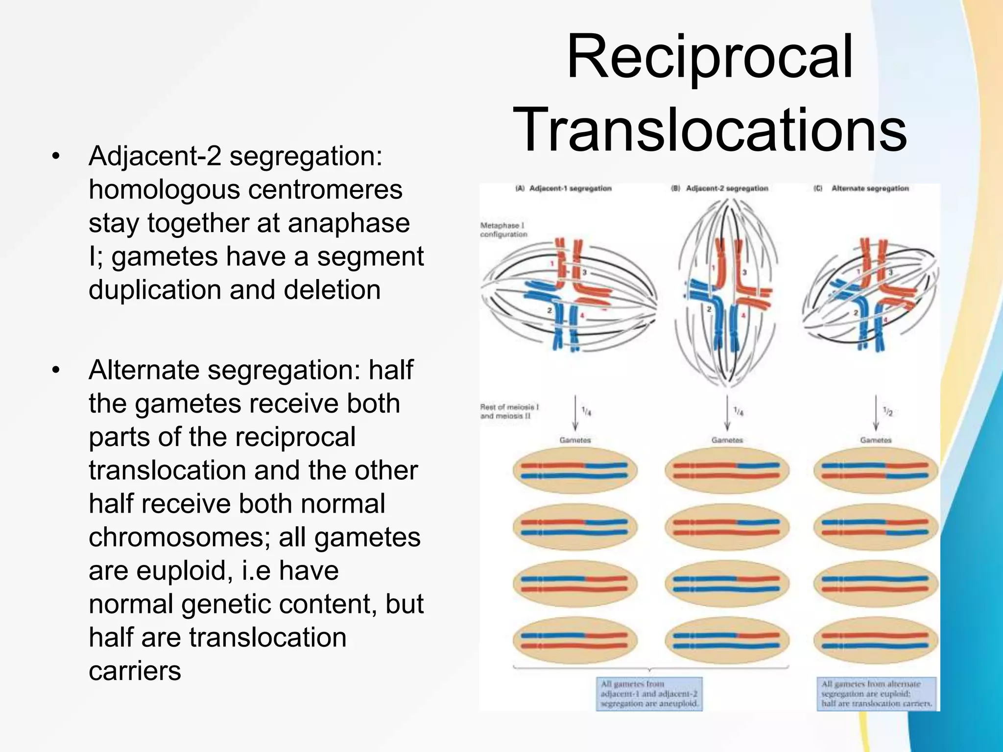 chromosomal abnormalities.ppt