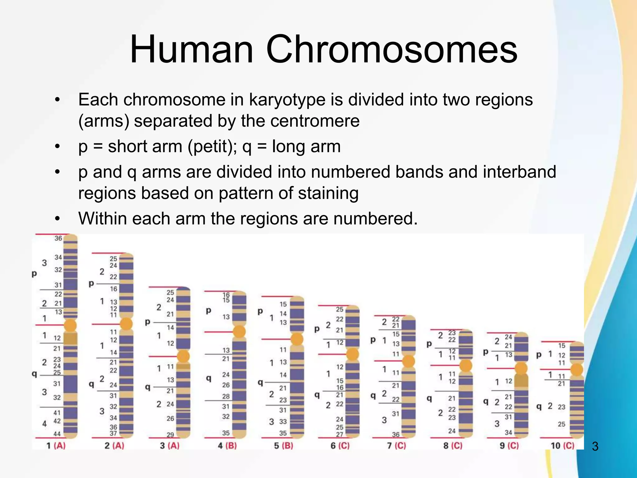 chromosomal abnormalities.ppt