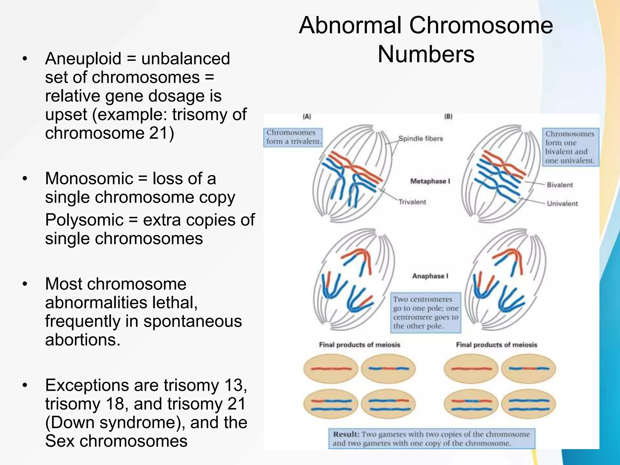 chromosomal abnormalities.ppt