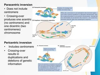 chromosomal abnormalities.ppt