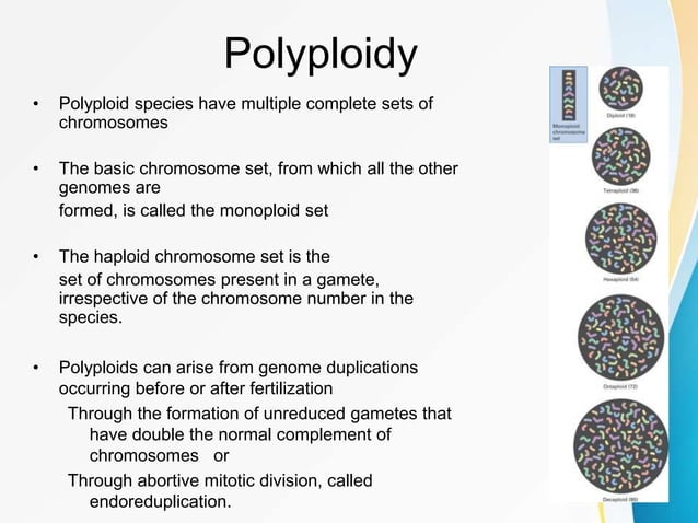 chromosomal abnormalities.ppt