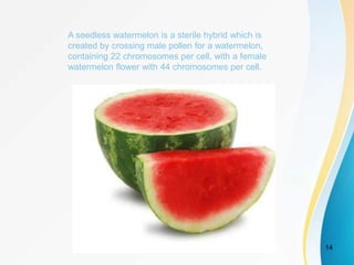 chromosomal abnormalities.ppt