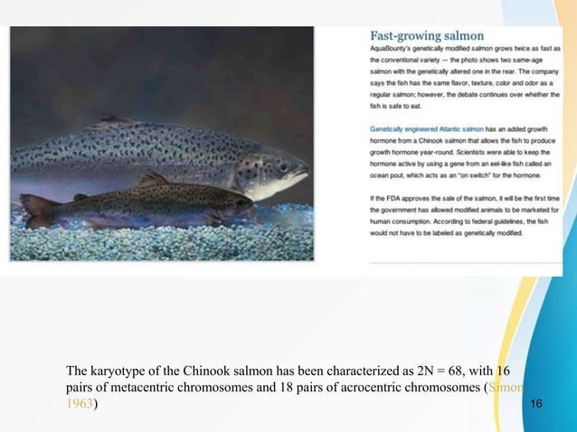 chromosomal abnormalities.ppt