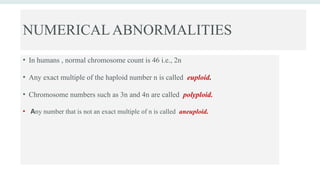 CHROMOSOMAL ABNORMALITIES pathology presentation | PPTX