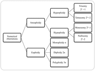 Chromosomal Abnormalities-Sasi-converted.pdf
